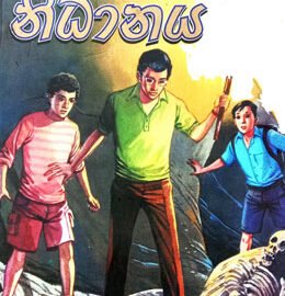 Sinhala Novels - Free Download Sinhala Novels
